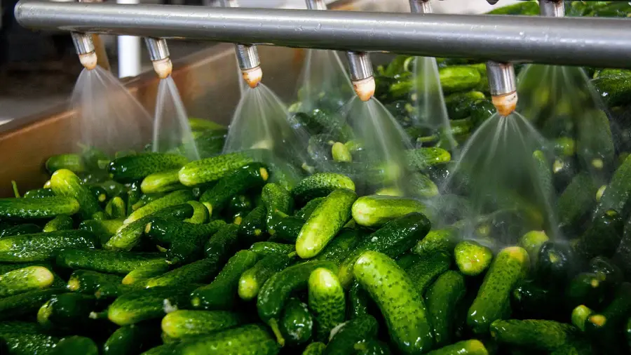 Understanding Food Contamination Risks at Every Stage of the Food ...